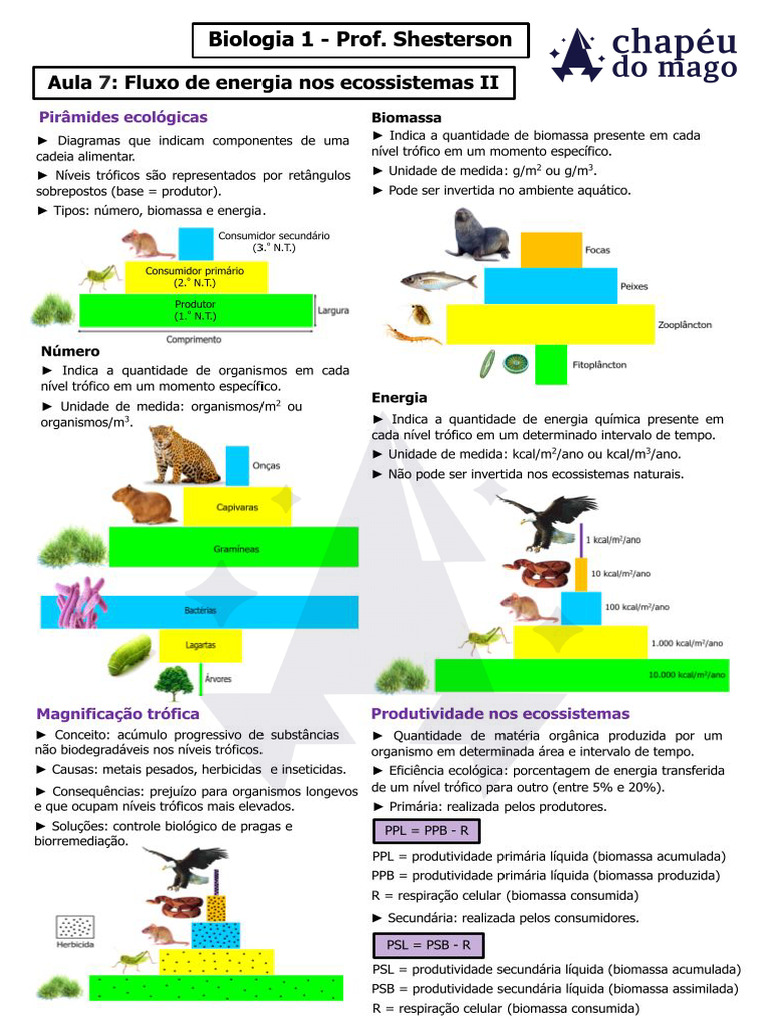 Aula 7_ Fluxo de Energia Nos Ecossistemas II.pptx.PDF | PDF