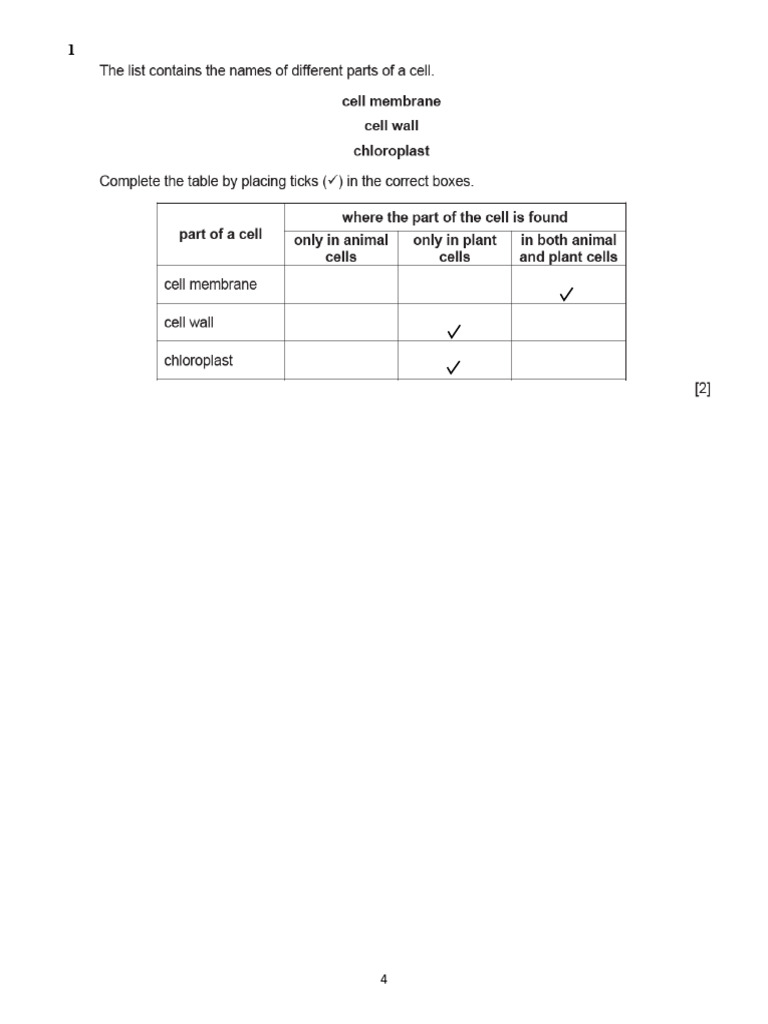 Year_7_Cells_3 | PDF