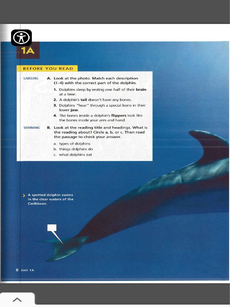 Reading Explorer 1 3rd Ed | PDF