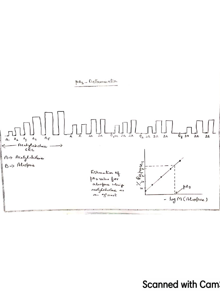 Pactical 11 PA2 VALUE EXPT Graph | PDF
