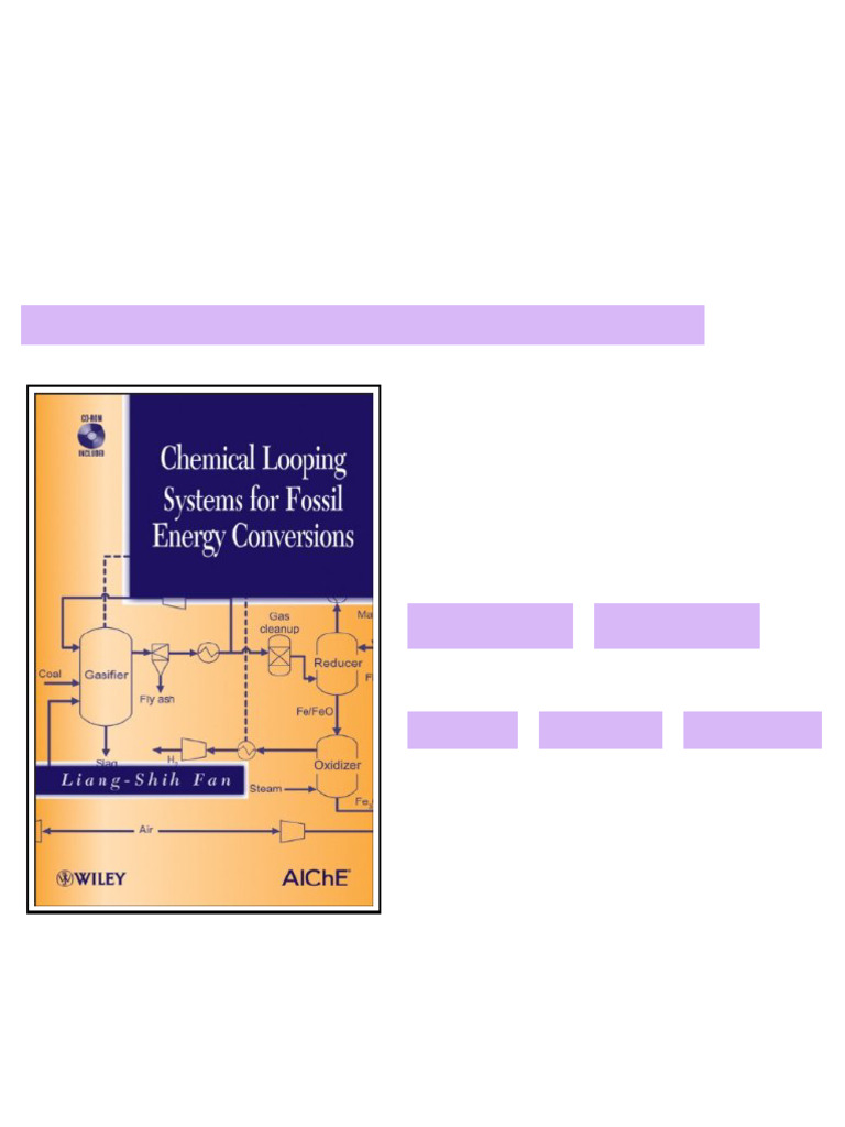 Chemical Looping Systems for Fossil Energy Conversions 1st Edition ...