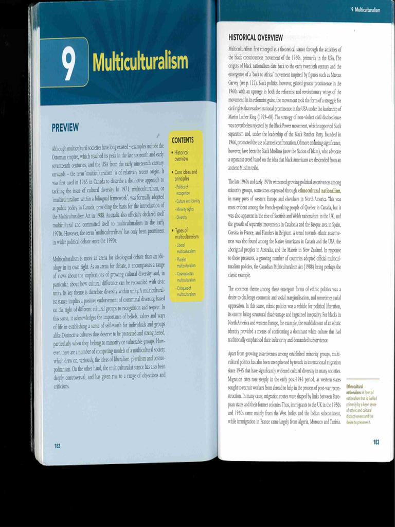 Multiculturalism Textbook | PDF