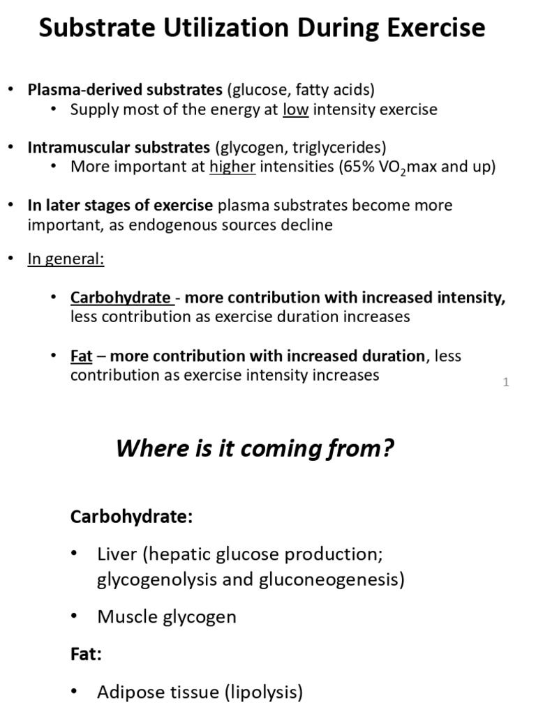 Substrate Utilization in Exercise Physiology | PDF | Lactic Acid | Glycogen