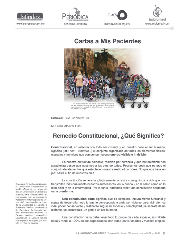 Vista de Remedio Constitucional, ¿Qué Significa | PDF