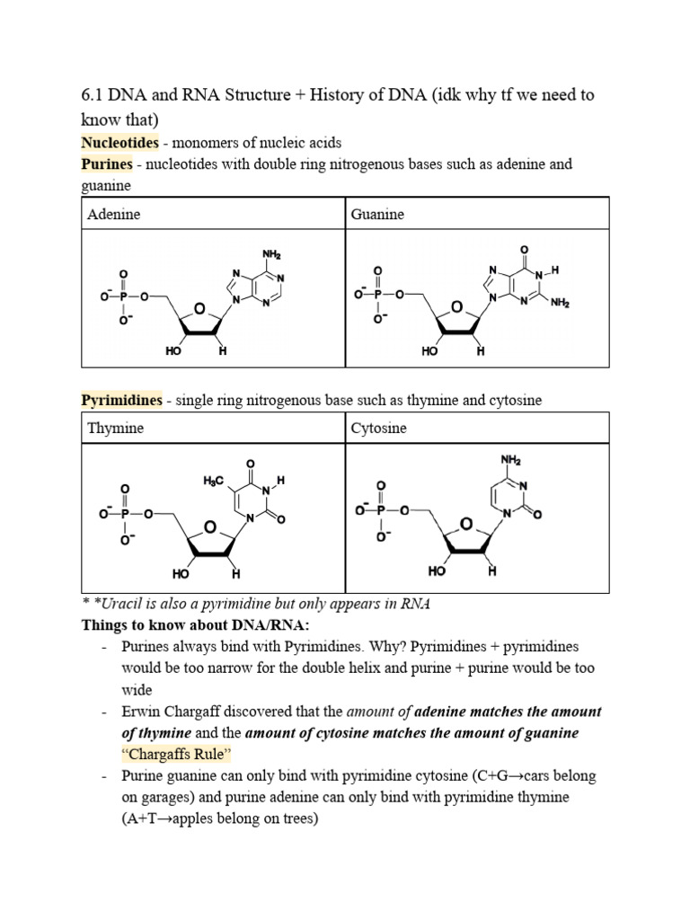 Unit 6A AP Bio Review Notes | PDF | Ribosome | Translation (Biology)