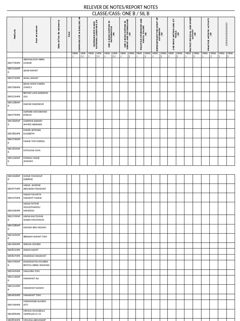 Report Notes | PDF