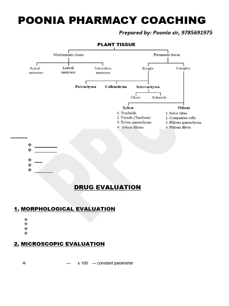 Pharmaco g Nosy | PDF | Plants | Botany