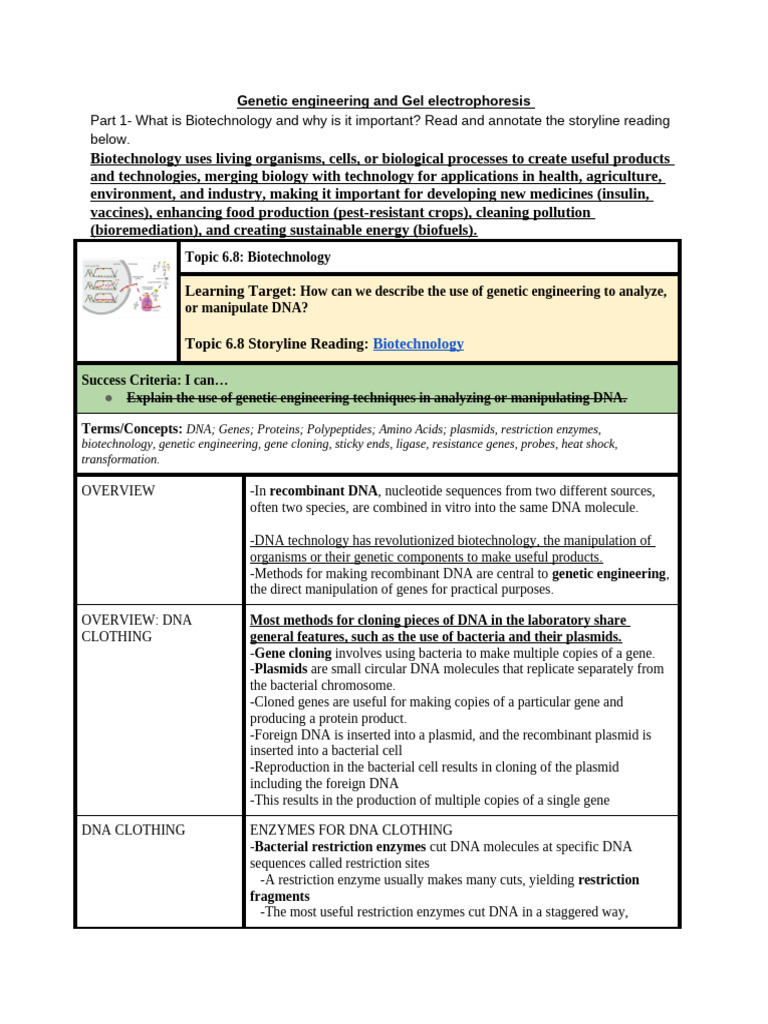 Genetic Engineering and DNA Cloning Techniques | PDF | Molecular ...