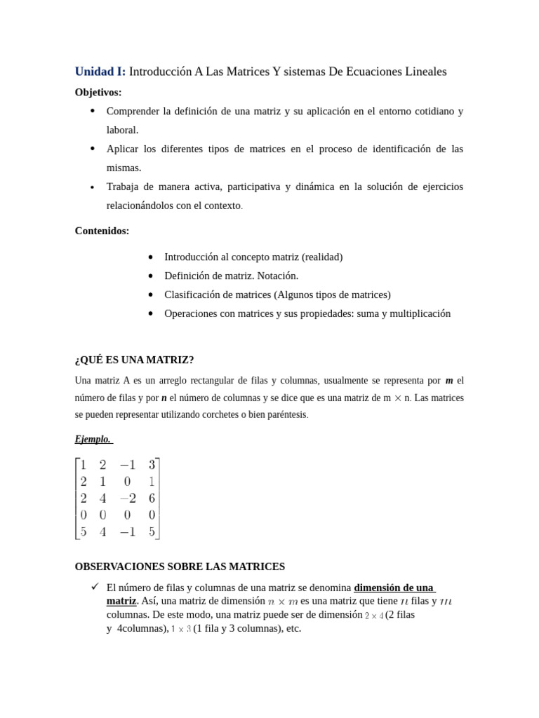 Introducción a las matrices | PDF | Matriz (Matemáticas) | Teoría de la matriz