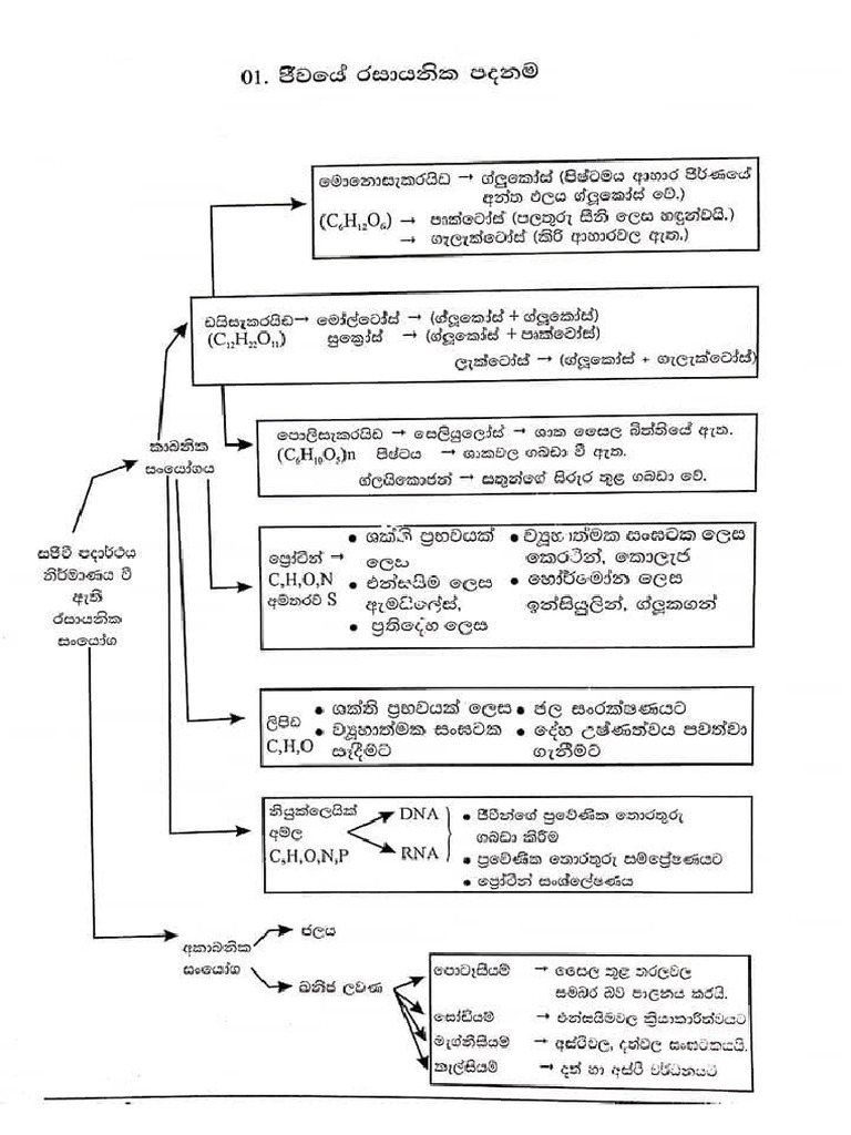 Science Short Note 2 | PDF