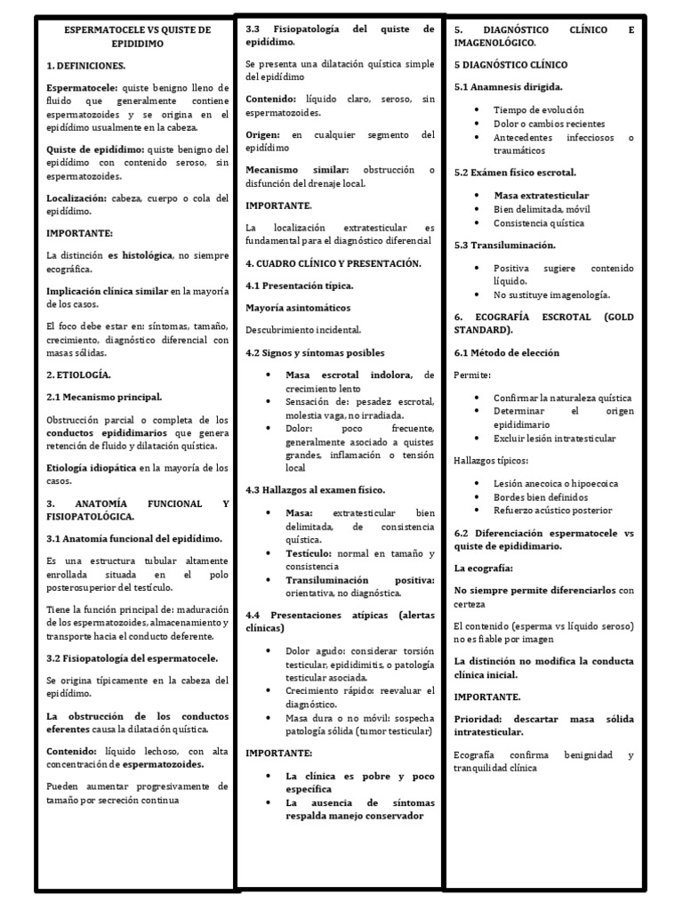 Espermatocele Vs Quiste de Epididimo | PDF | Especialidades Medicas ...
