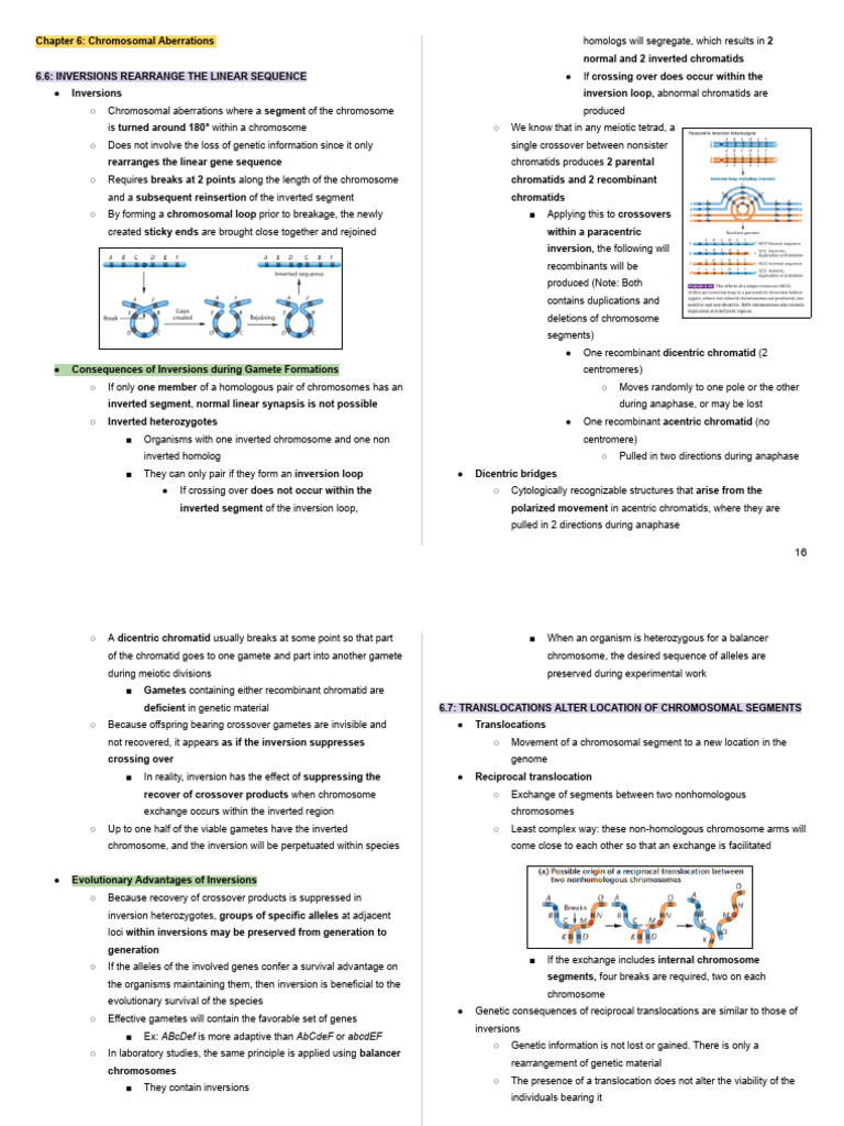Genetics Quiz 5 Reviewer | PDF | Biotechnology | Molecular Genetics