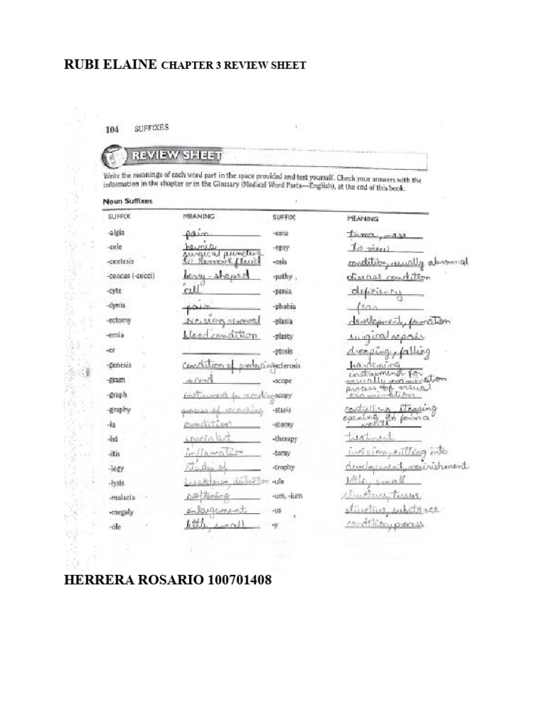 Chapter 3 Review Sheet | PDF