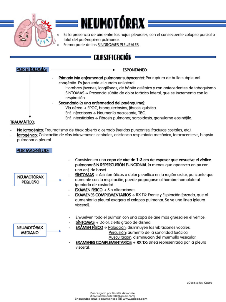 Neu Motor Ax | PDF | Tórax | Neumología