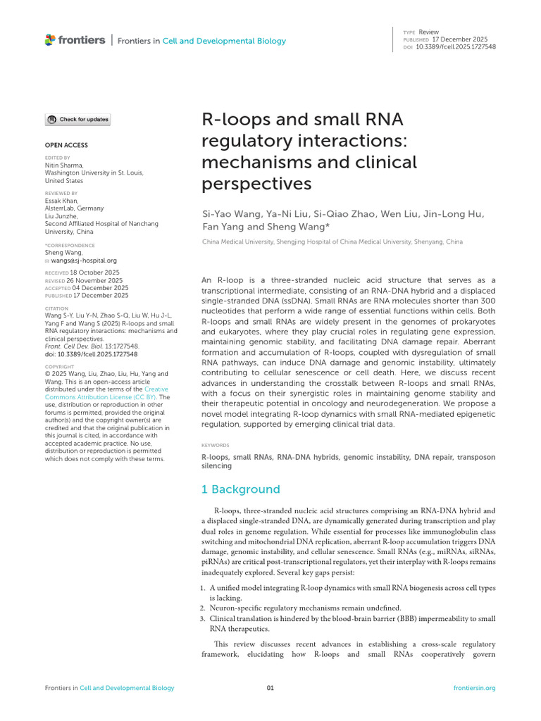 R-Loops and Small RNA Regulatory Interactions Mech | PDF | Micro Rna | Rna
