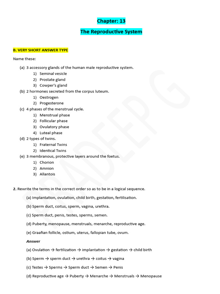 Human Reproductive System Overview | PDF | Reproductive System | Uterus