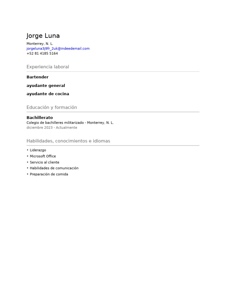 CV Jorge Luna | PDF