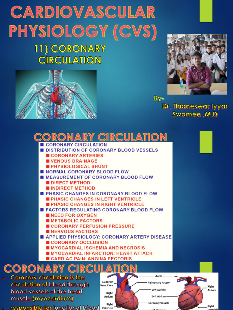 CARDIOVASCULAR PHYSIOLOGY (CVS) 11) Coronary Circulation | PDF ...