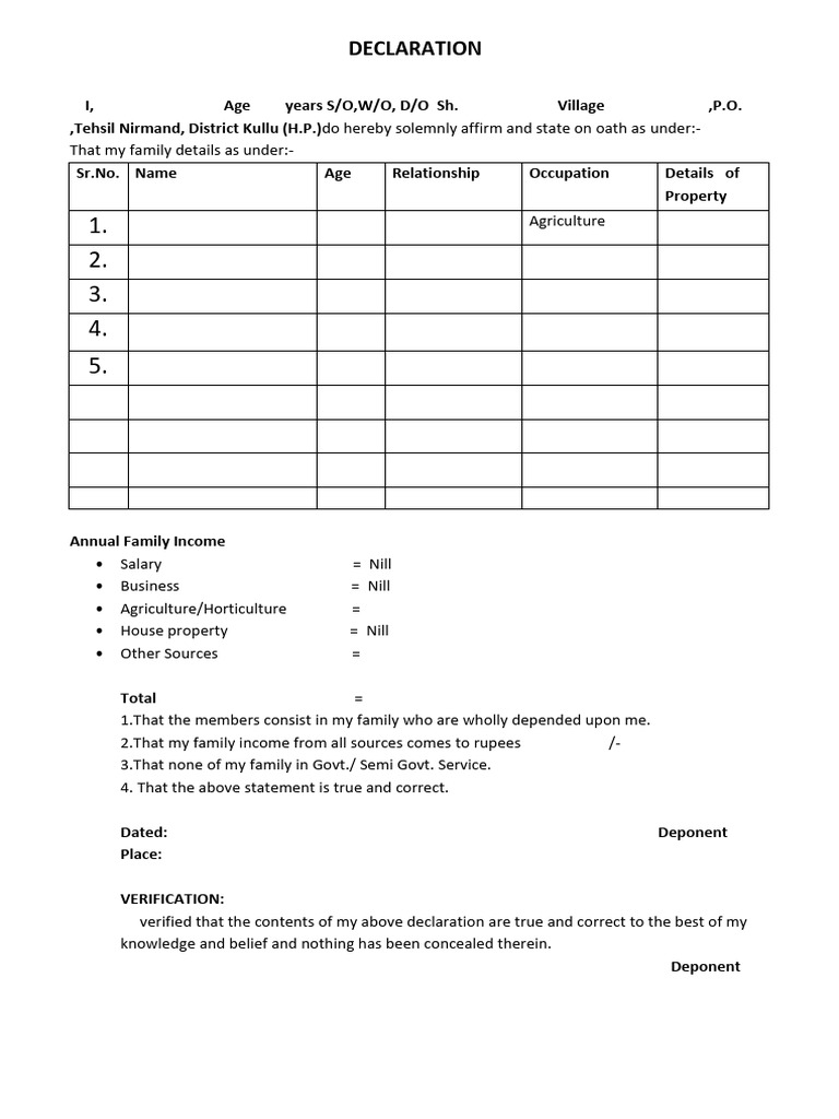 Income Declaration 2025 | PDF