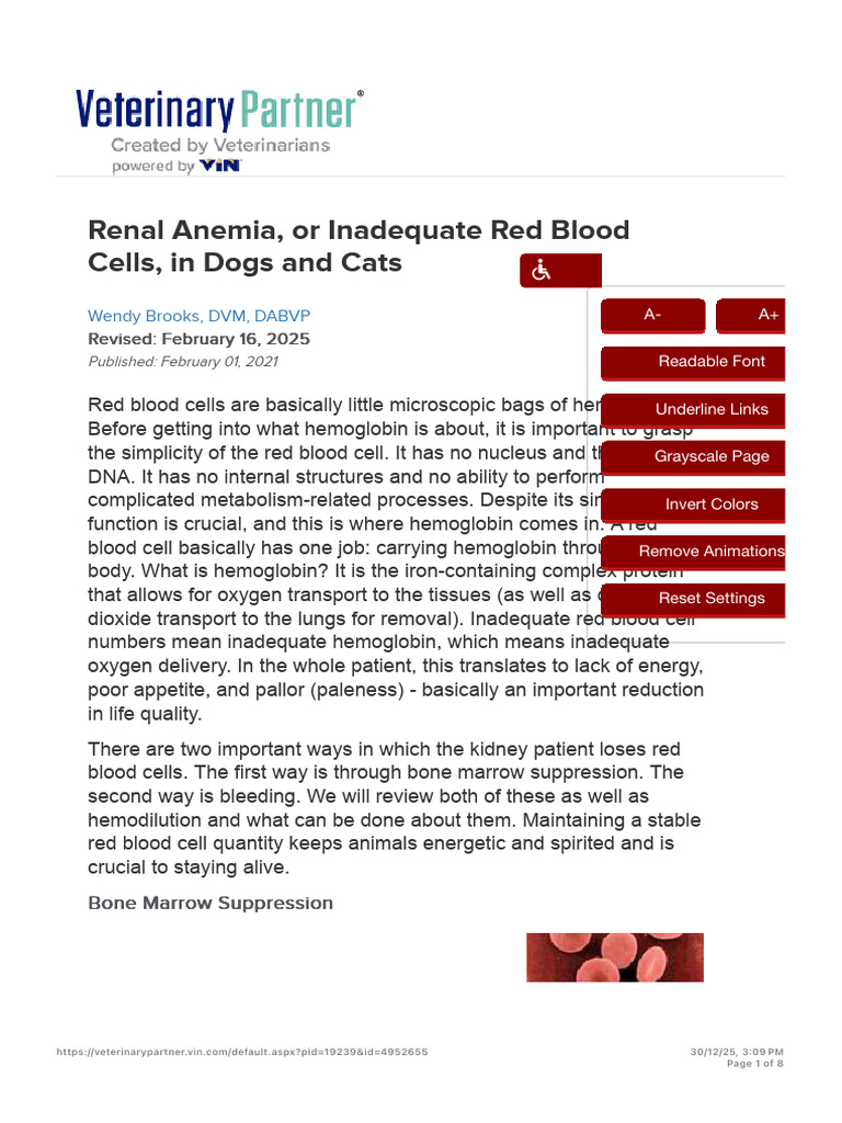 Renal Anemia, or Inadequate Red Blood Cells, in Dogs and Cats ...