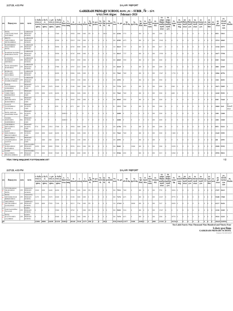New Feb 2025-Salary Report | PDF