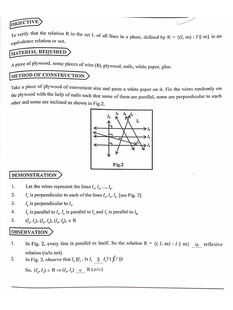 Class XII Maths Activity 2 | PDF