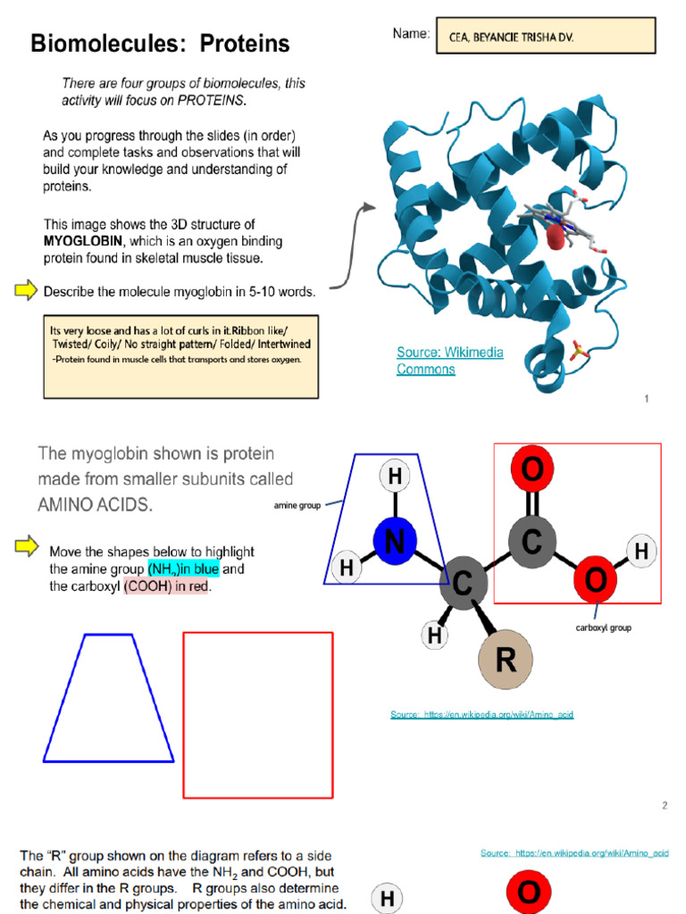 Biomolecules Proteins Activity f | PDF