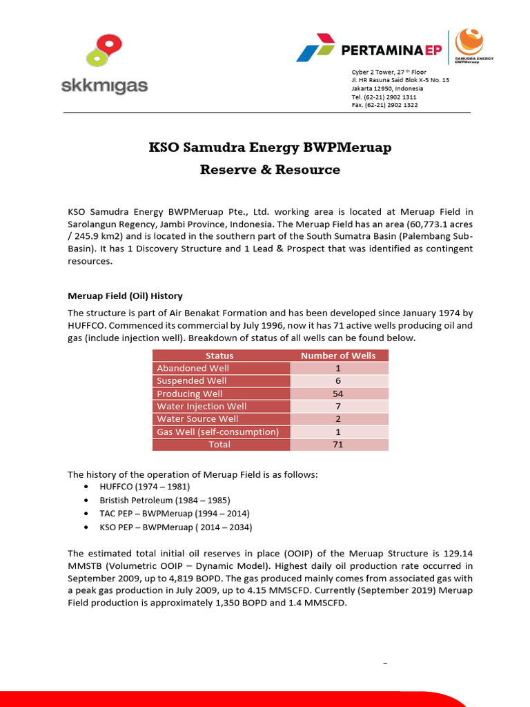 Executive Summary Meruap 2019 | PDF | River Delta | Petroleum Reservoir