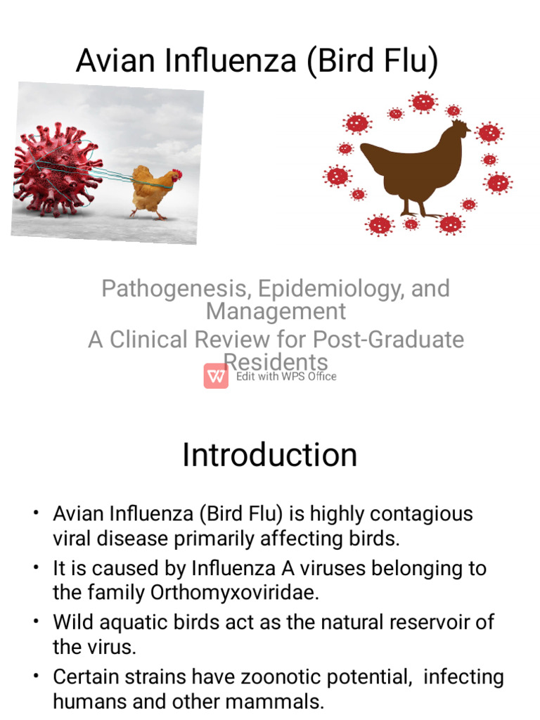Avian_Influenza_Clinical_Lecture_22_Slides | PDF | Avian Influenza ...