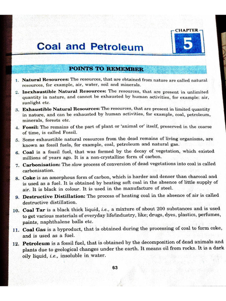 Coal and Petroleum Class 8 | PDF