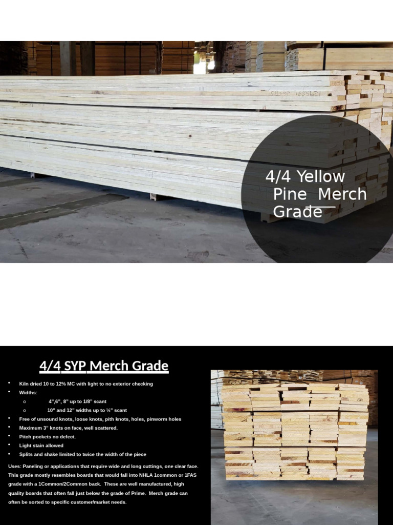 4 SYP Merch 3 | PDF