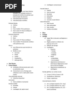 Anatomia do Sistema Venoso Ázigo | PDF | Fígado | Abdômen