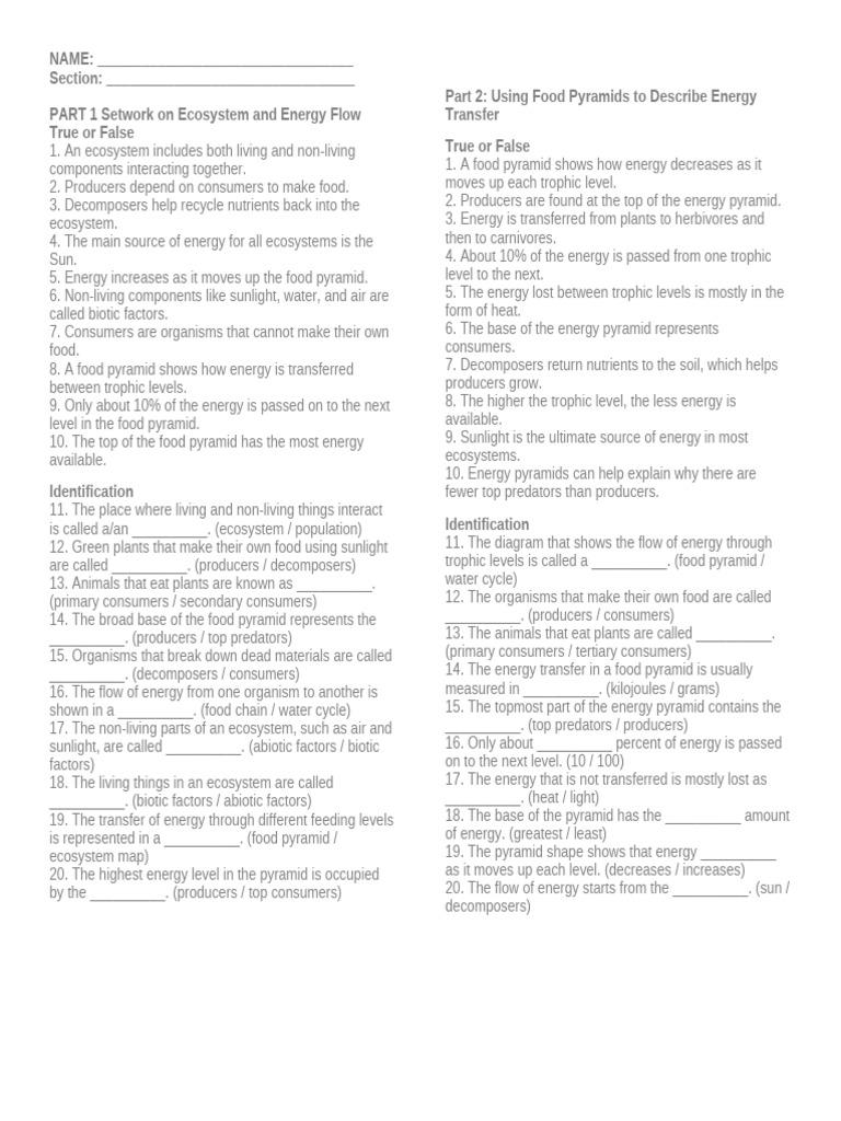 Ecosystem Energy Flow Quiz Guide | PDF | Ecosystem | Food Web