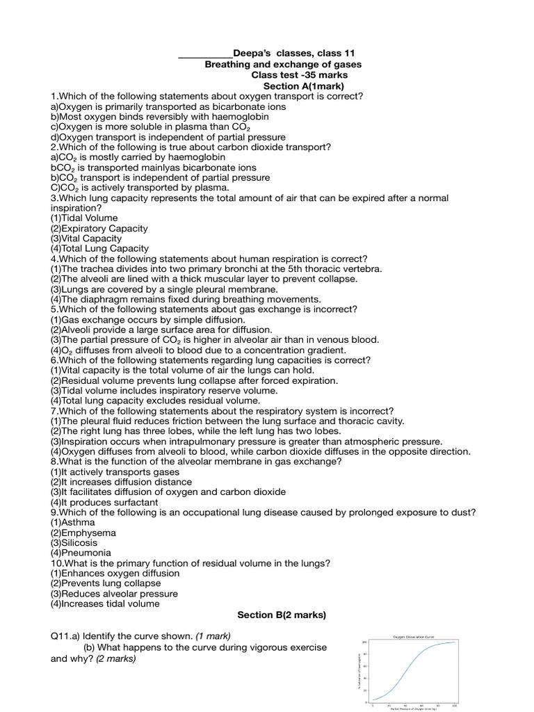 Class 11 Gas Exchange Test Questions | PDF | Lung | Breathing