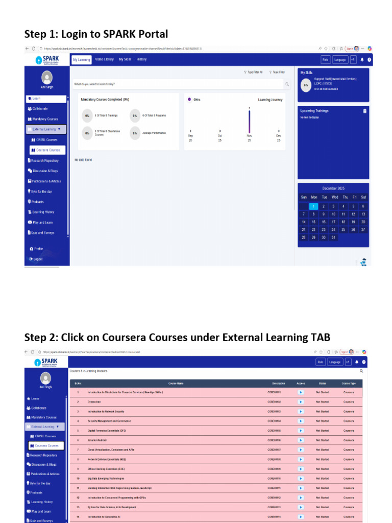 Coursera Instruction Steps | PDF