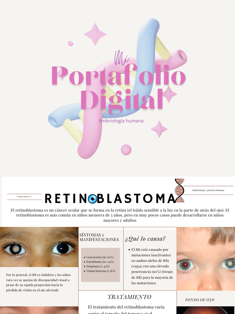 Portafolio de Patologías Embriología Bloque 1 Zo | PDF | El embarazo ...