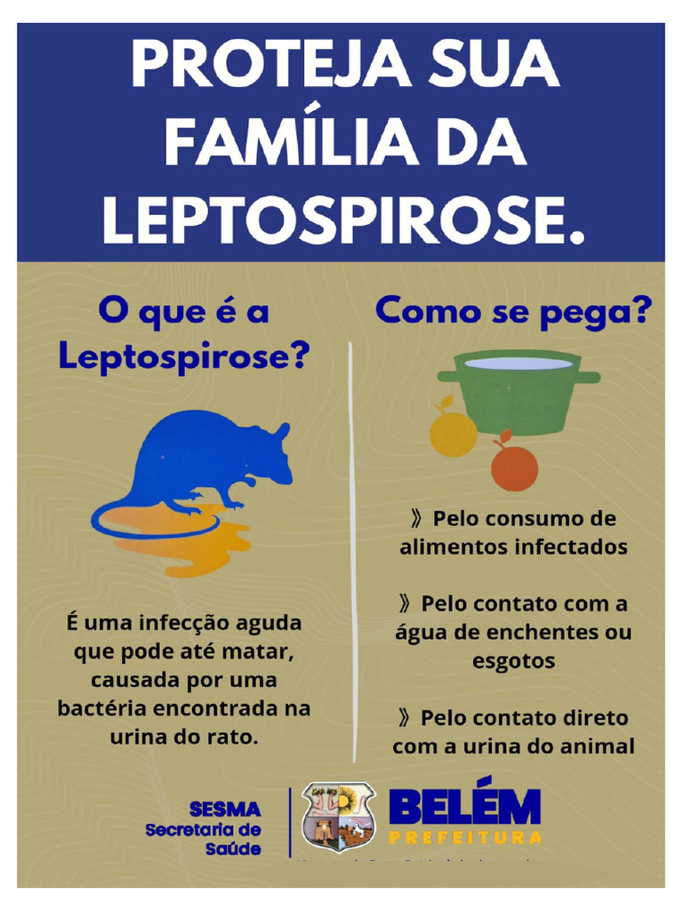 Panfleto Lepto PDF | PDF