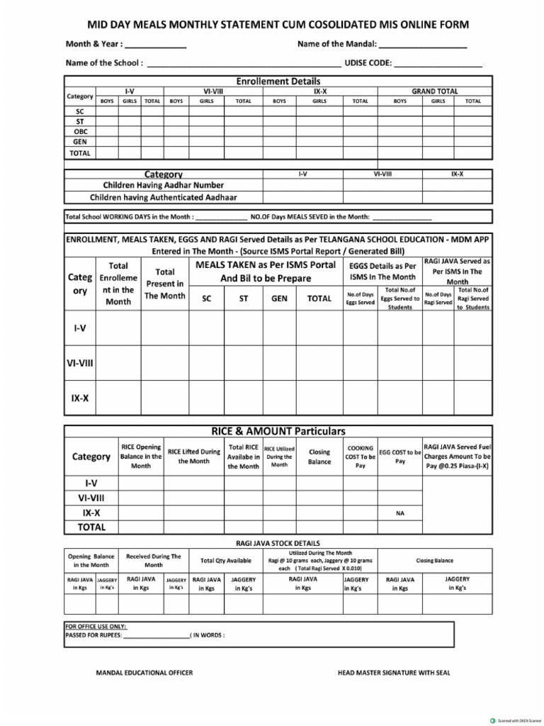 28-11-25 Mdm Mis Site & Consolidate Revised Form | PDF