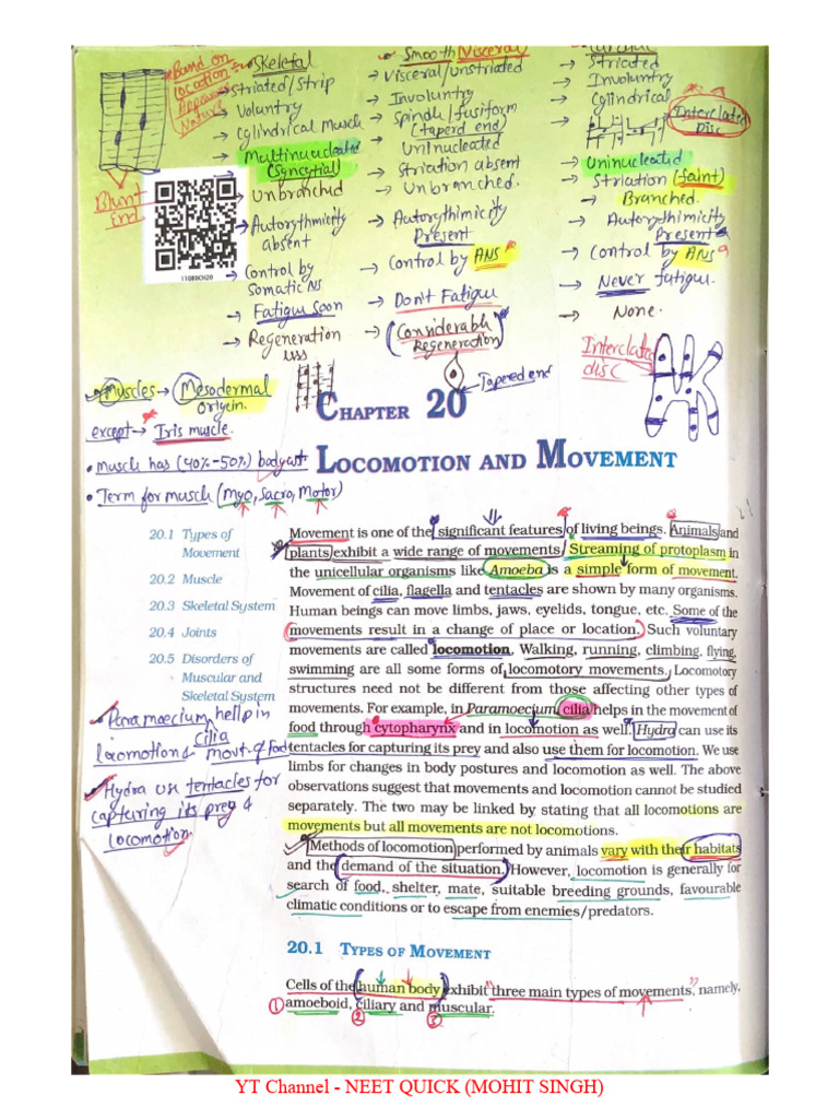 Locomotion and Movements NCERT HIGHLIGHTS | PDF