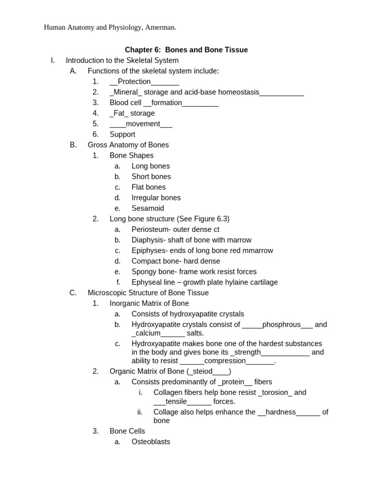 Understanding Bones and Bone Tissue | PDF | Bone | Osteoblast
