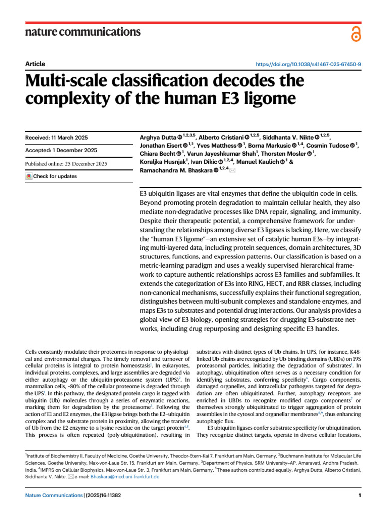 s41467-025-67450-9 | PDF | Ubiquitin | Proteasome