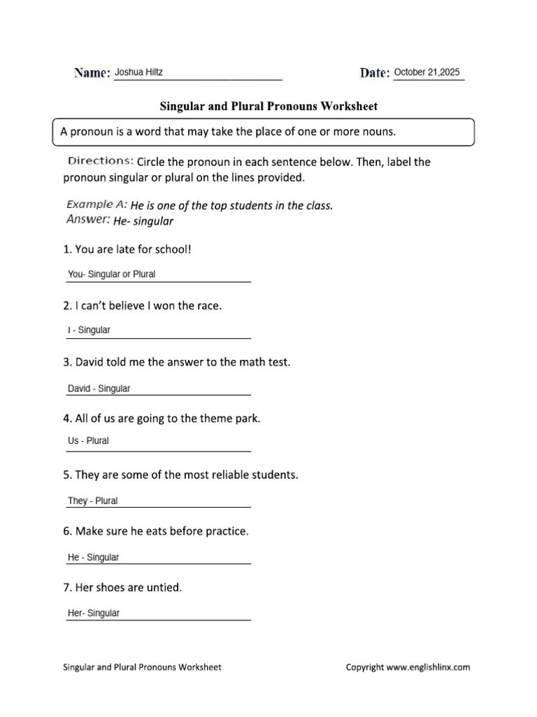 Singular and Plural Pronouns Worksheet School Themed Intermediate | PDF
