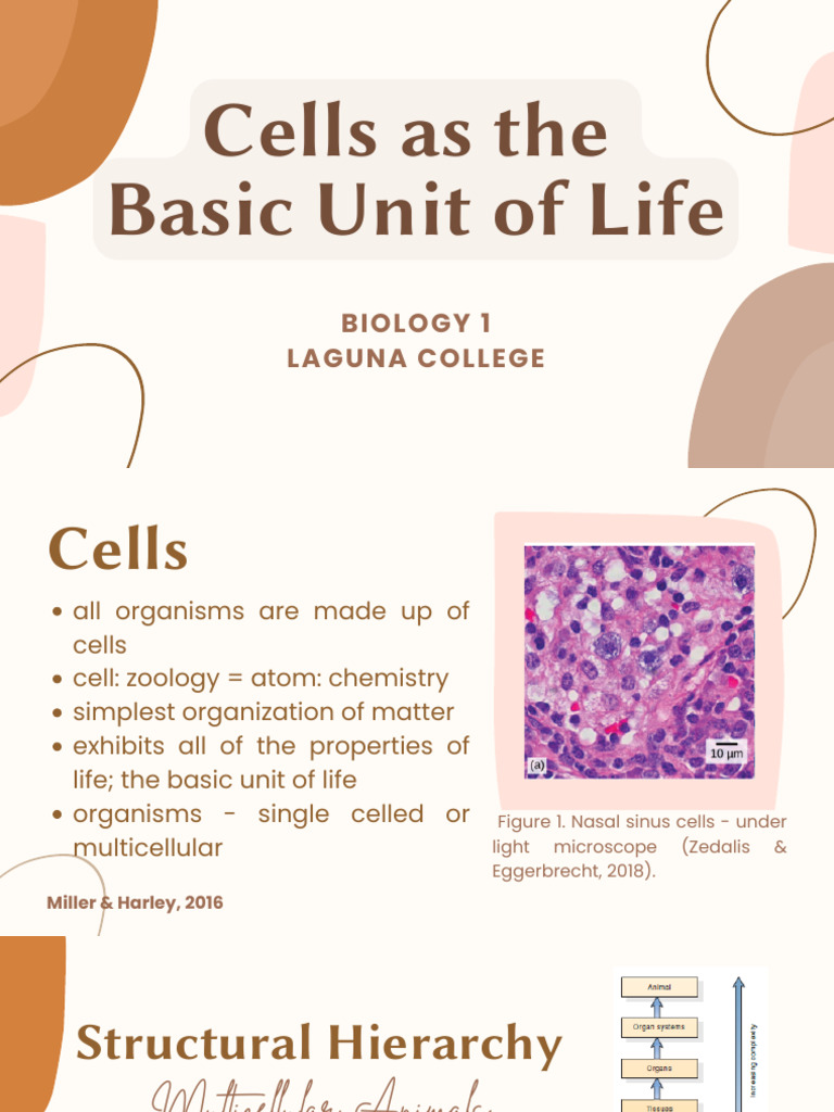 Lecture-1_Cells-as-the-Basic-Unit-of-Life | PDF | Cell Membrane ...