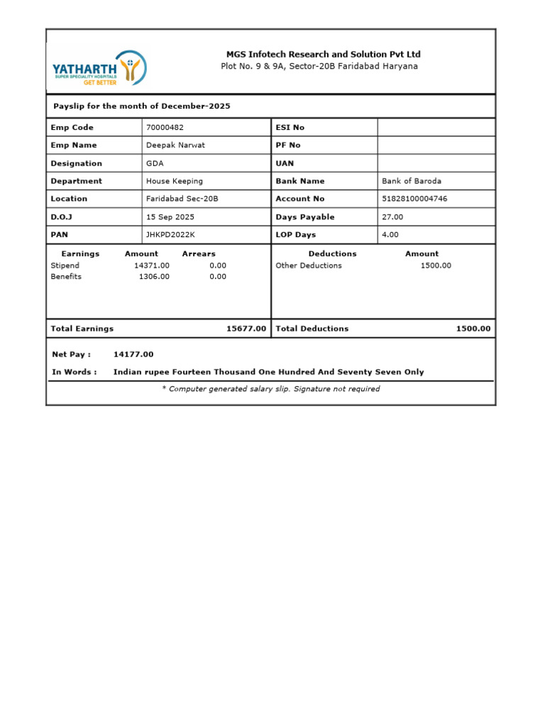 Pay Slip | PDF