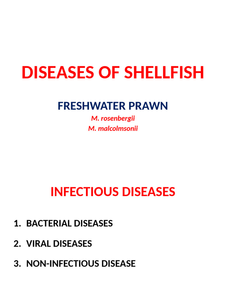 Shellfish Diseases: Bacterial & Viral Insights | PDF | Necrosis | Bacteria