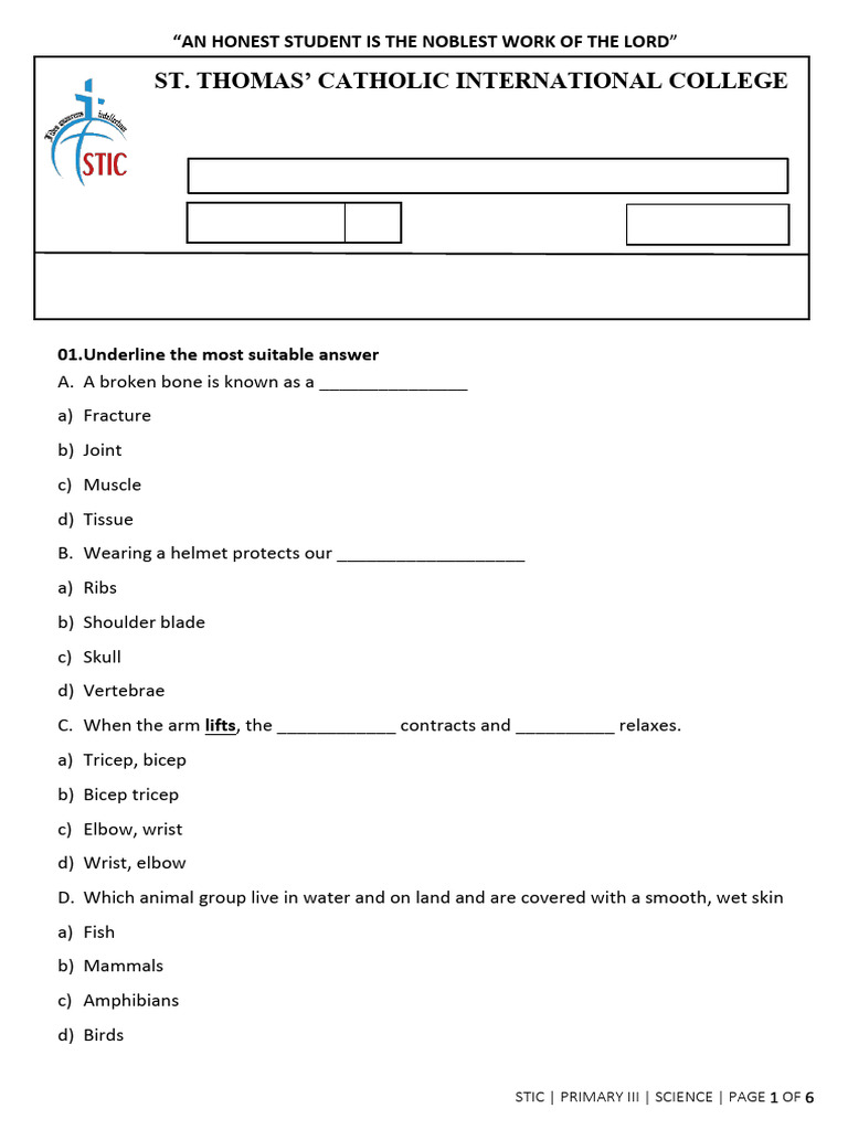 p3sci 1st Term Exam | PDF | Mammals | Skeleton
