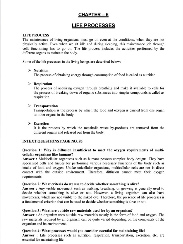 Life Process Notes Class 10th | PDF | Cellular Respiration | Nutrition