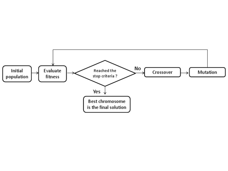 Flowchart Ga | PDF | Evolutionary Biology | Genetics