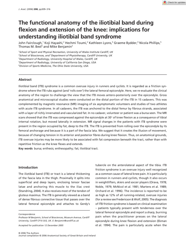Iliotibial Band Anatomy and ITB Syndrome | PDF | Knee | Musculoskeletal ...