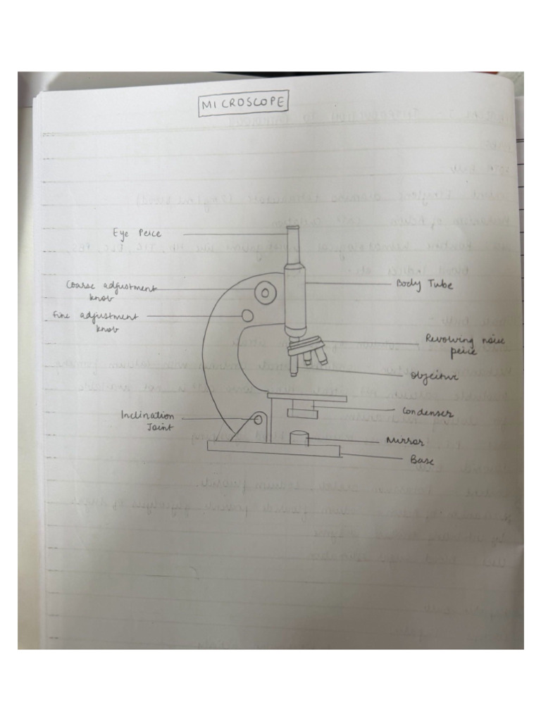 Patho diagrams | PDF